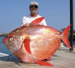 Opah (Fish) - Facts, Habitat, Diet, Life Cycle, Pictures