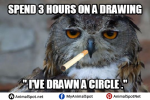 Best Funny Owl Memes That Had Us Laughing Out Loud