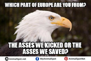 Best Funny Bald Eagle Memes That Had Us Laughing Out Loud