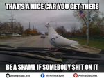 Best Funny Bird Memes That Had Us Laughing Out Loud