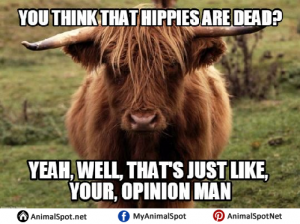 Best Funny Cow Memes That Had Us Laughing Out Loud