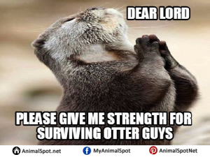 Best Funny Otter Memes That Had Us Laughing Out Loud