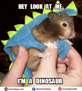 Best Funny Hamster Memes That Had Us Laughing Out Loud