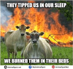 Best Funny Cow Memes That Had Us Laughing Out Loud