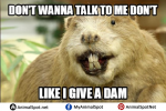 Best Funny Beaver Memes That Had Us Laughing Out Loud