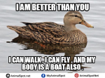 Best Funny Duck Memes That Had Us Laughing Out Loud