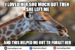 Best Funny Giraffe Memes That Had Us Laughing Out Loud