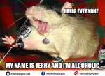 Best Funny Mouse Memes That Had Us Laughing Out Loud