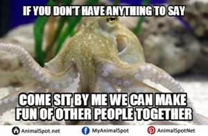 Best Funny Octopus Memes That Had Us Laughing Out Loud