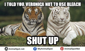 Best Funny Tiger Memes That Had Us Laughing Out Loud