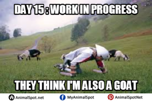 Best Funny Goat Memes That Had Us Laughing Out Loud