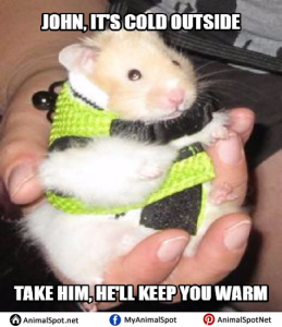 Best Funny Mouse Memes That Had Us Laughing Out Loud