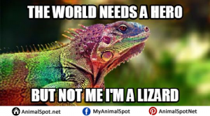 Best Funny Lizard Memes That Had Us Laughing Out Loud