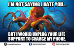 Best Funny Octopus Memes That Had Us Laughing Out Loud