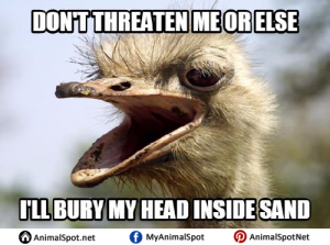 Best Funny Ostrich Memes That Had Us Laughing Out Loud