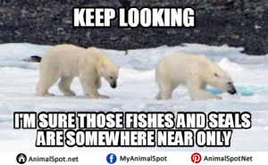 Best Funny Polar Bear Memes That Had Us Laughing Out Loud