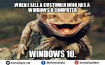 Best Funny Lizard Memes That Had Us Laughing Out Loud