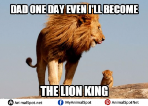Best Funny Lion Memes That Had Us Laughing Out Loud