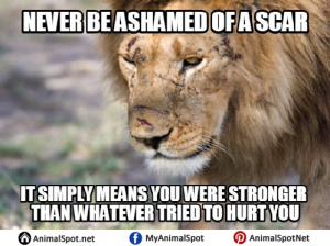 Best Funny Lion Memes That Had Us Laughing Out Loud
