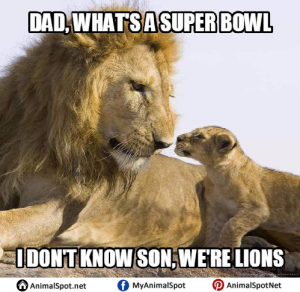Best Funny Lion Memes That Had Us Laughing Out Loud