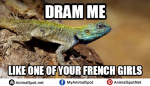 Best Funny Lizard Memes That Had Us Laughing Out Loud