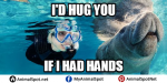 Best Funny Manatee Memes That Had Us Laughing Out Loud