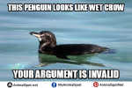 Best Funny Penguin Memes That Had Us Laughing Out Loud