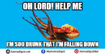 Best Funny Octopus Memes That Had Us Laughing Out Loud