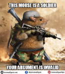 Best Funny Mouse Memes That Had Us Laughing Out Loud