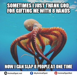 Best Funny Octopus Memes That Had Us Laughing Out Loud