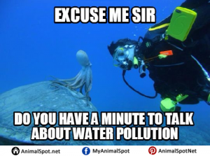 Best Funny Octopus Memes That Had Us Laughing Out Loud