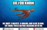 Best Funny Octopus Memes That Had Us Laughing Out Loud