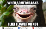 Best Funny Ostrich Memes That Had Us Laughing Out Loud