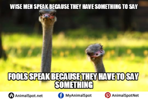 Best Funny Ostrich Memes That Had Us Laughing Out Loud