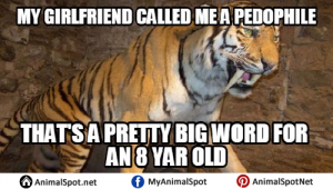 Best Funny Tiger Memes That Had Us Laughing Out Loud