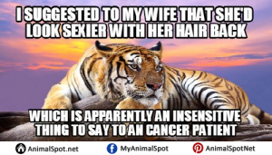Best Funny Tiger Memes That Had Us Laughing Out Loud