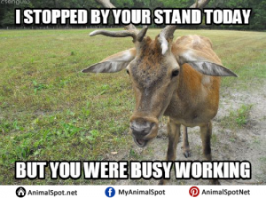 Best Funny Deer Memes That Had Us Laughing Out Loud