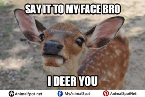 Best Funny Deer Memes That Had Us Laughing Out Loud