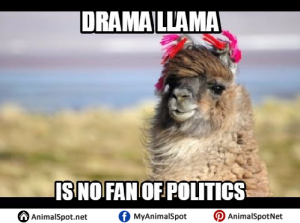 Best Funny Llama Memes That Had Us Laughing Out Loud