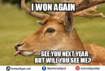 Best Funny Deer Memes That Had Us Laughing Out Loud