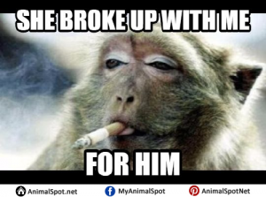 Best Funny Monkey Memes That Had Us Laughing Out Loud