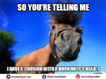 Best Funny Horse Memes That Had Us Laughing Out Loud