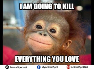 Best Funny Monkey Memes That Had Us Laughing Out Loud