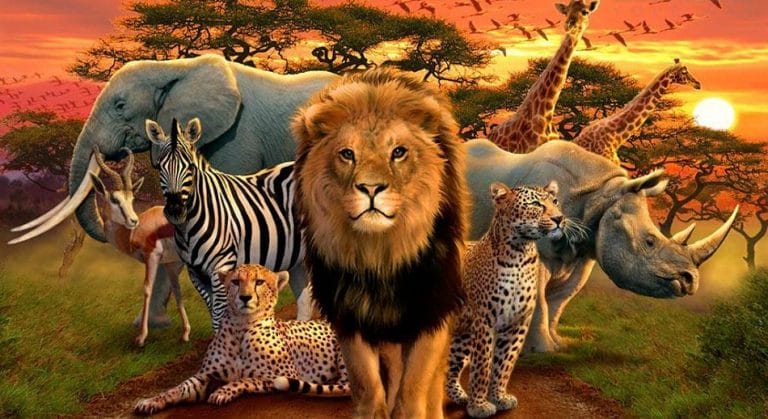 African Animals - List, Facts, Conservation Status, Pictures, Chart