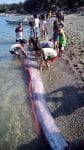Giant Oarfish - Facts, Habitat, Diet, Life Cycle, Pictures