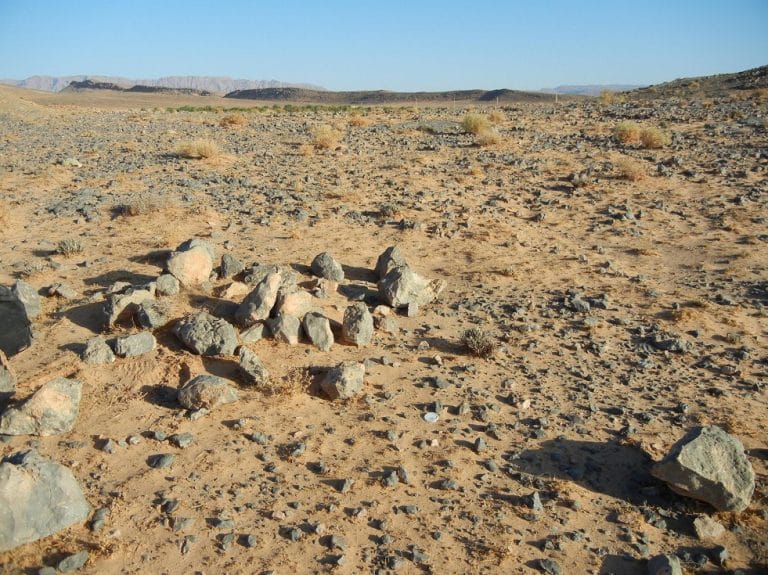 Scorpion Facts, Types, Diet, Reproduction, Classification, Pictures