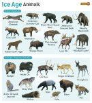 Ice Age Animals – Facts, List, Pictures, and More