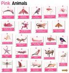Pink Animals – Facts, List, Pictures, and More