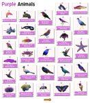 Purple Animals – Facts, List, Pictures, and More