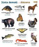 List of Animals That Live in Alabama - And Its State Animals (Photos)